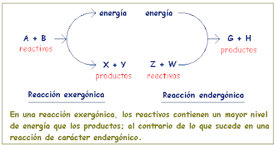 BLOGGER BIOLOGIA ENFERMERIA A2: REACCIONES (ENDERGONICA-EXERGONICA)