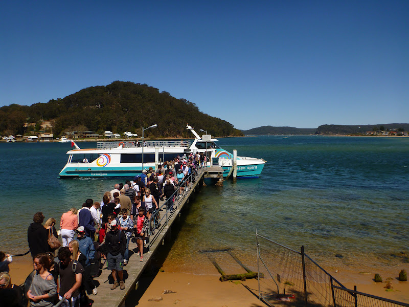 SHOVE IT BROTHER JUST KEEP WALKING: ETTALONG to PATONGA