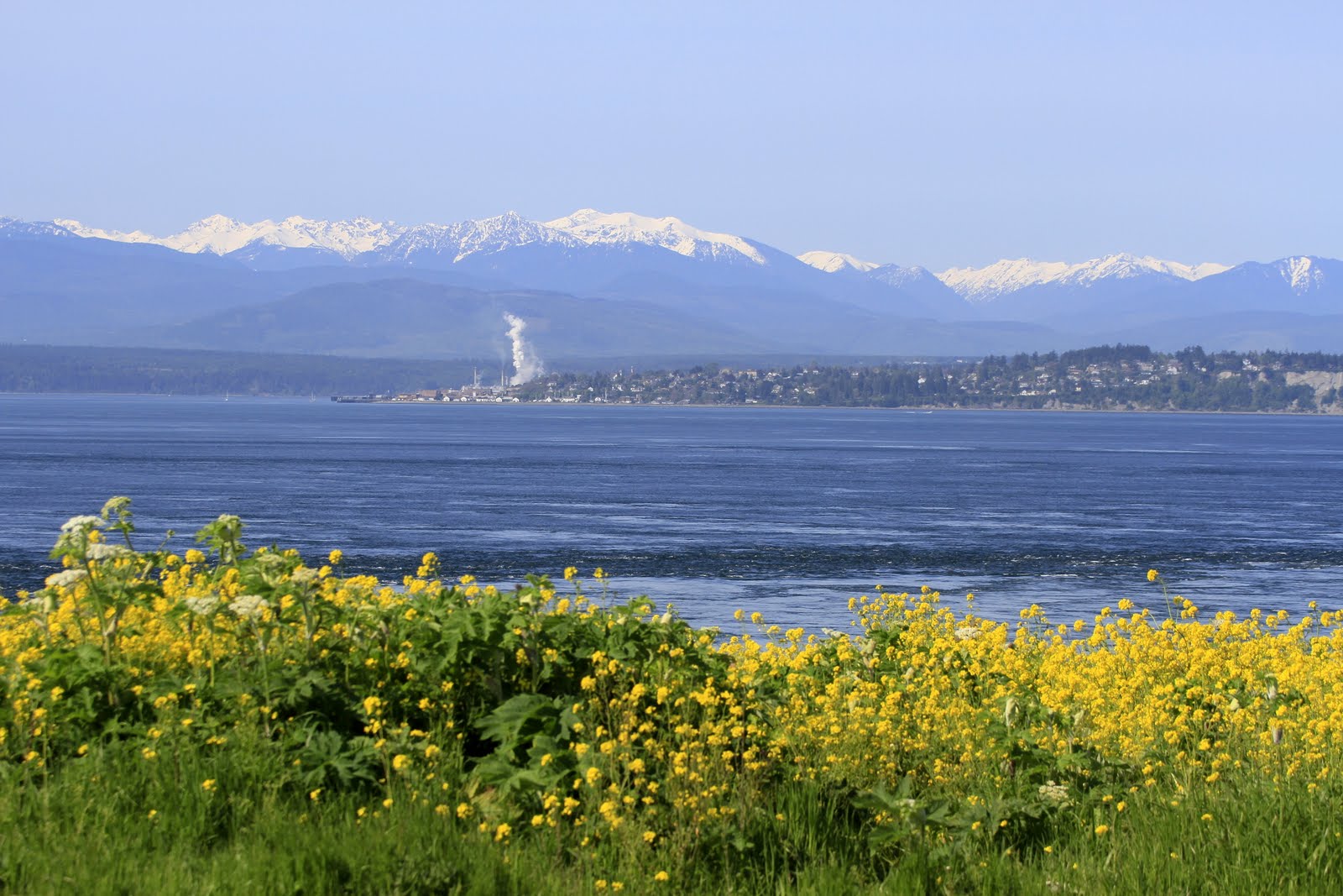 Serendipity and Orchids: Fort Ebey, Fort Casey and Fort Worden