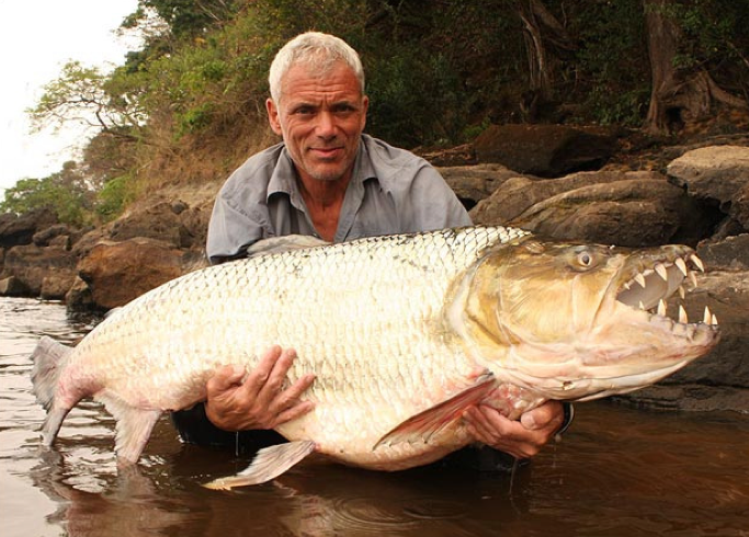 Million Posts: Goliath Tigerfish