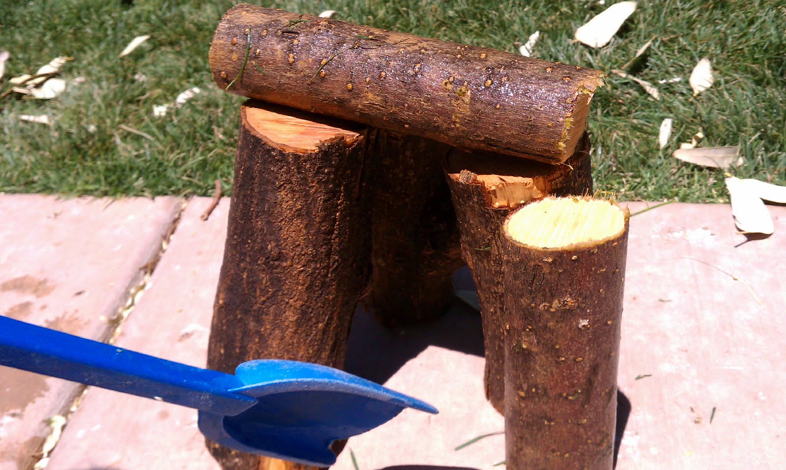 Play-Based Classroom: Tree block and logs--oh my!