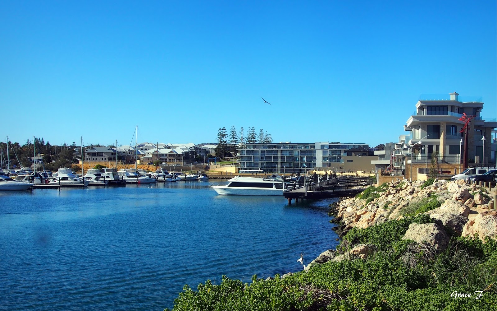 Perth Daily Photo : When does an outer-city suburb become an inner-city ...