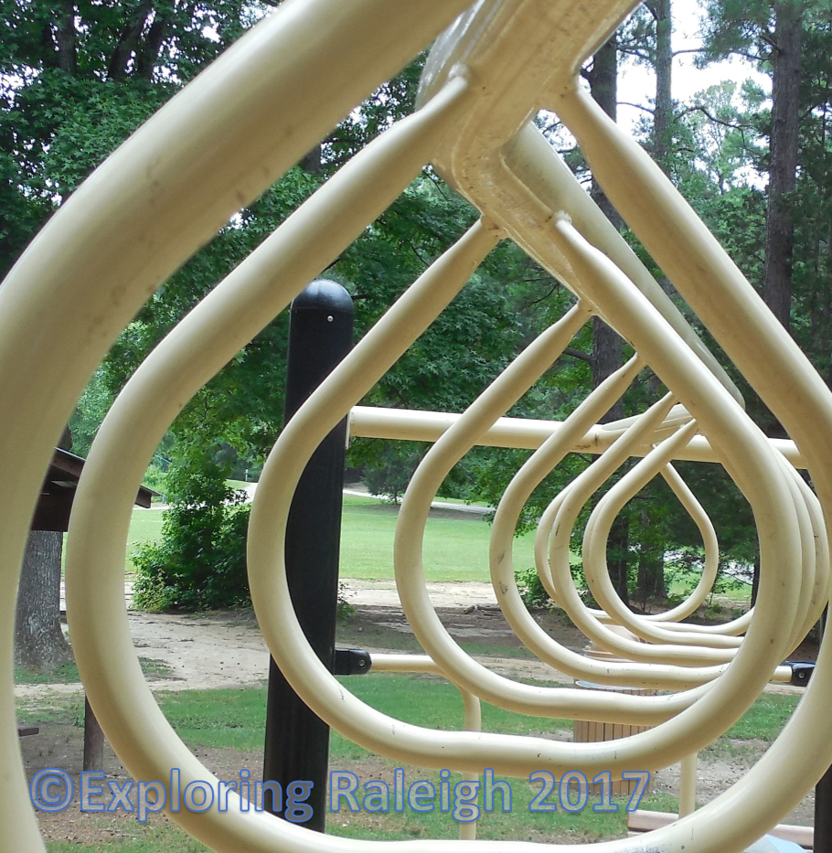Raleigh Daily Photo: View through the Monkey Rings