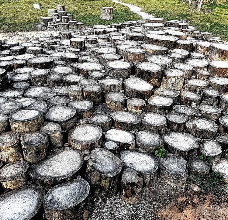 Jurong Lake Garden国家公园，新加坡免费新景点！