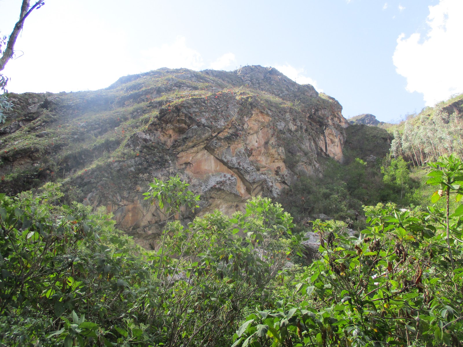 GANADERÍA, AGRICULTURA Y TURISMO EN EL DISTRITO DE CHUGAY, LA LIBERTAD ...