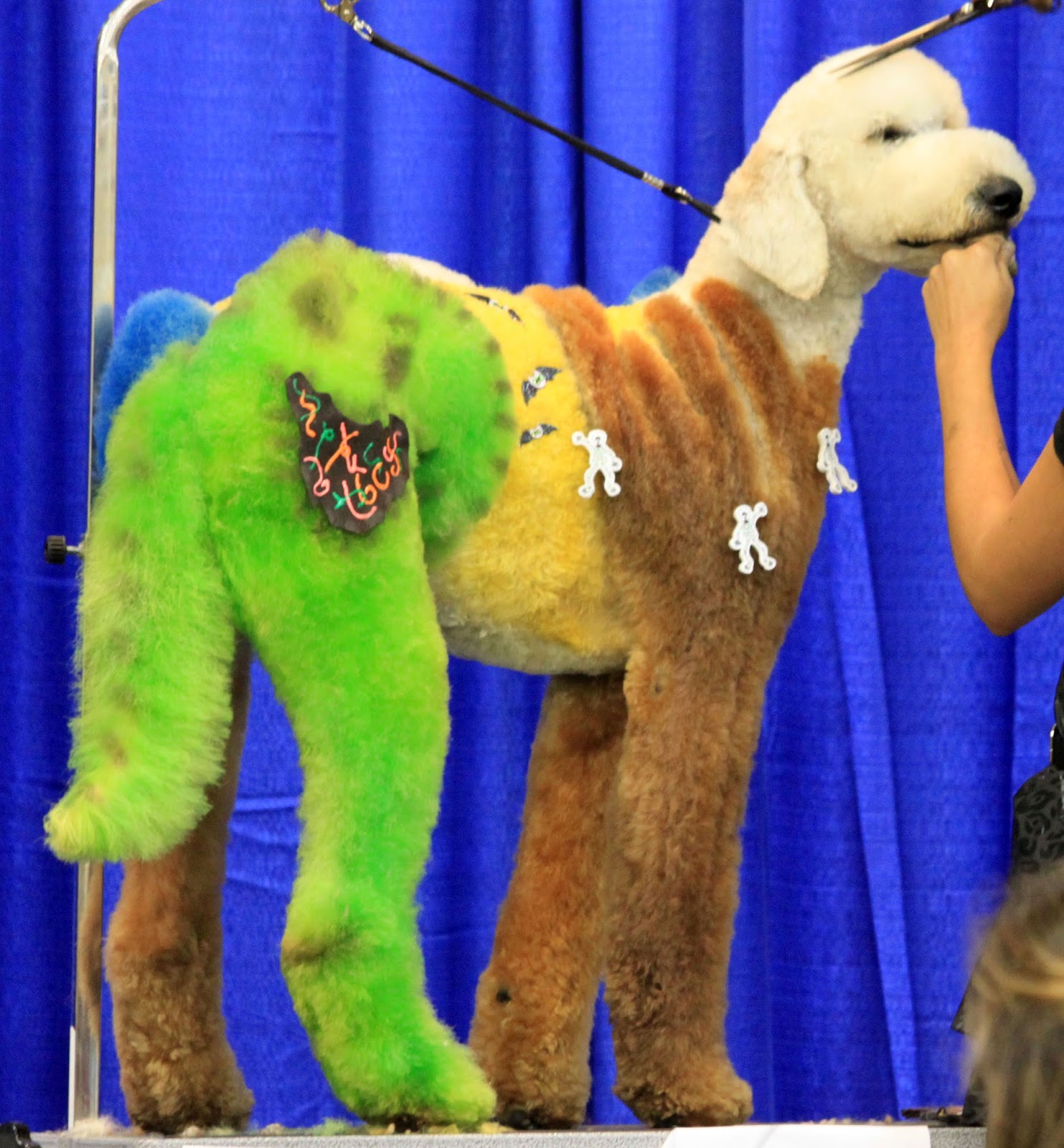 Pet Grooming: The Good, The Bad, & The Furry: Creative Grooming Hershey ...