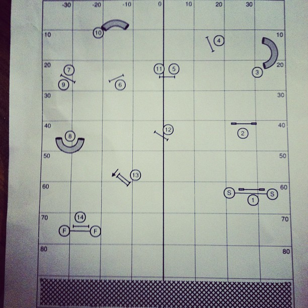 Dogbird Daily: CPE Agility Trial (Flexible Flyers)