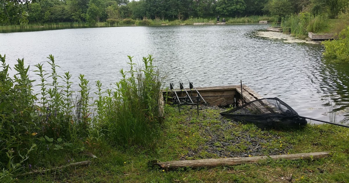 Jounrney Into Angling: Tursdale Pond