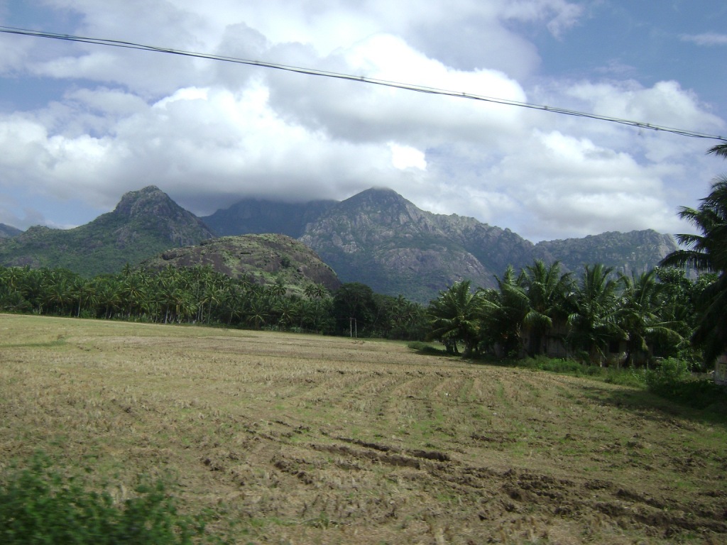 Tamilnadu Tourism: Kalikesam Forest & Waterfalls, Kanyakumari