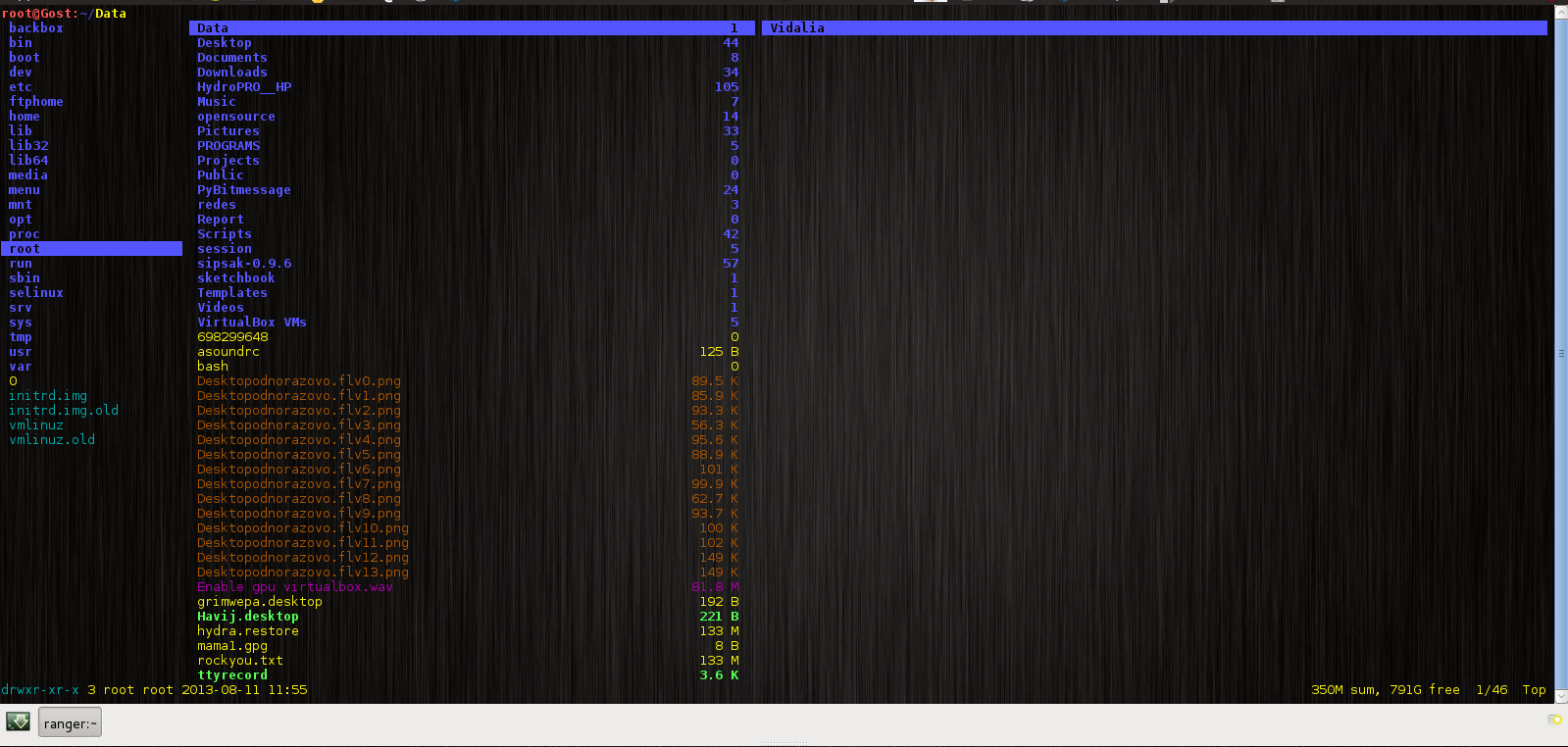 How to increase: How to navigate in terminal CLI + GUI
