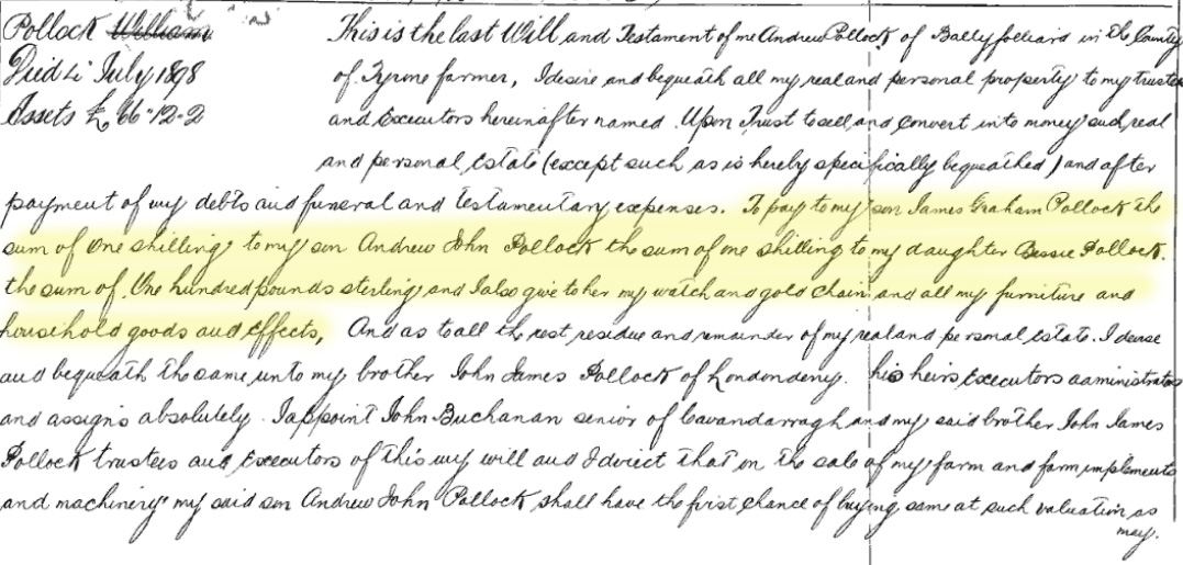 Anna and the Irish Diaspora: A Story of Wills