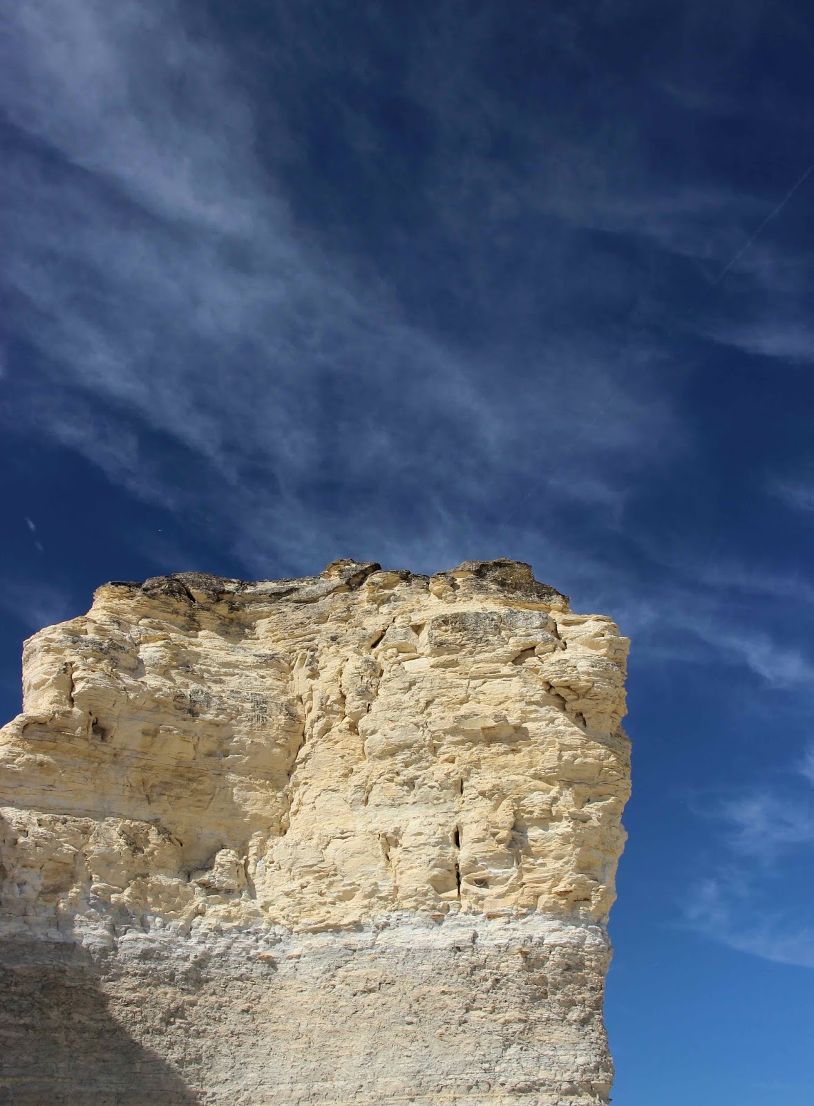 In the Company of Plants and Rocks: To Kansas to See the Chalk