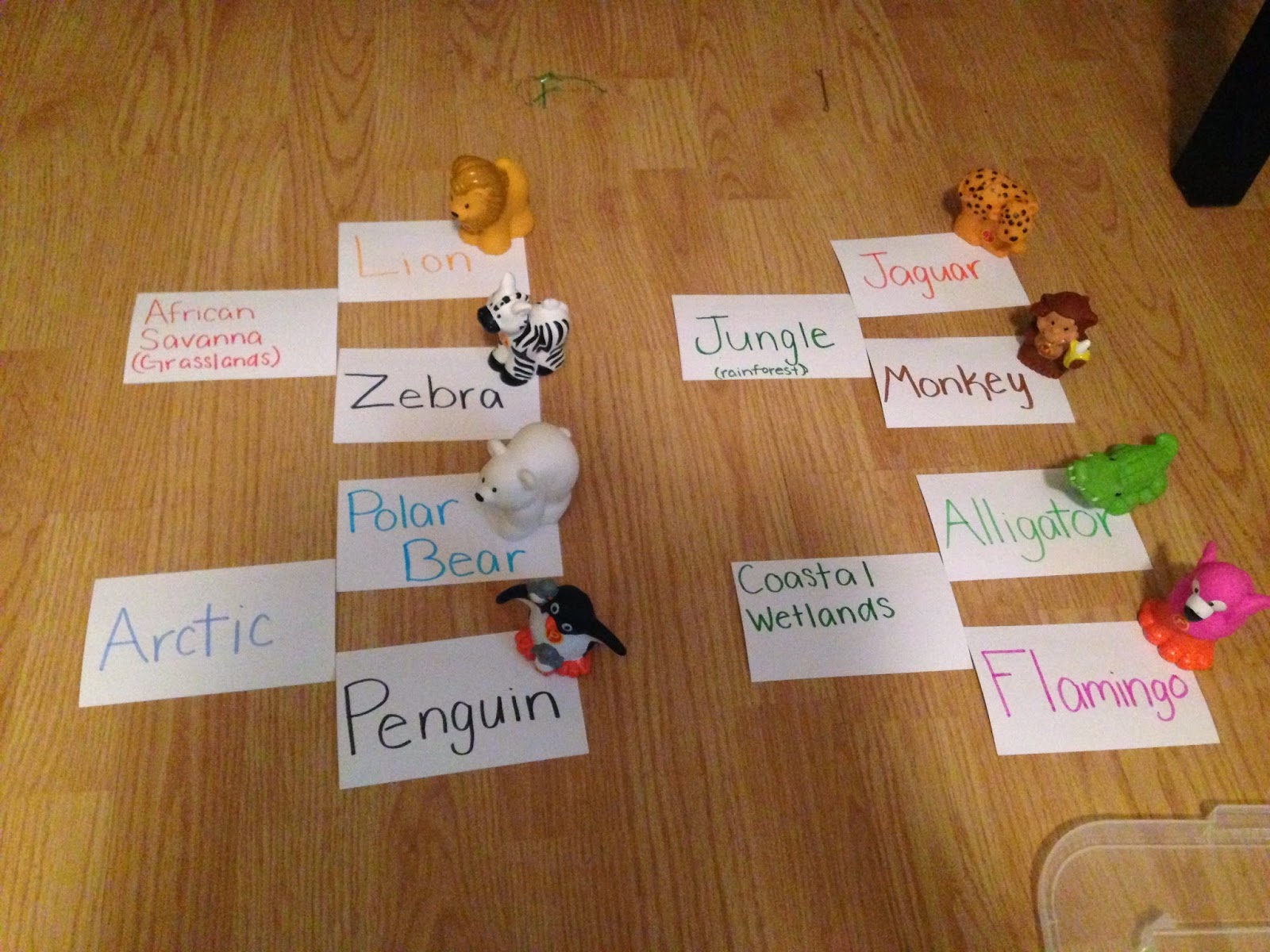 Let's Learn Science: Animal Habitat Investigation Box