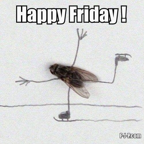 Apparently Comey has left the WH after an hour-long visit - Democratic ...