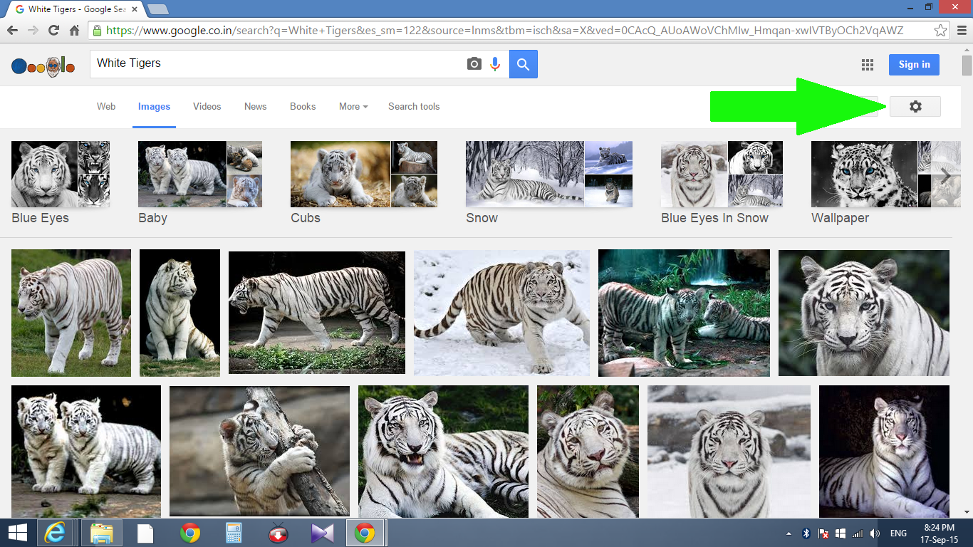 Can I Use Google Images for my blog or website?
