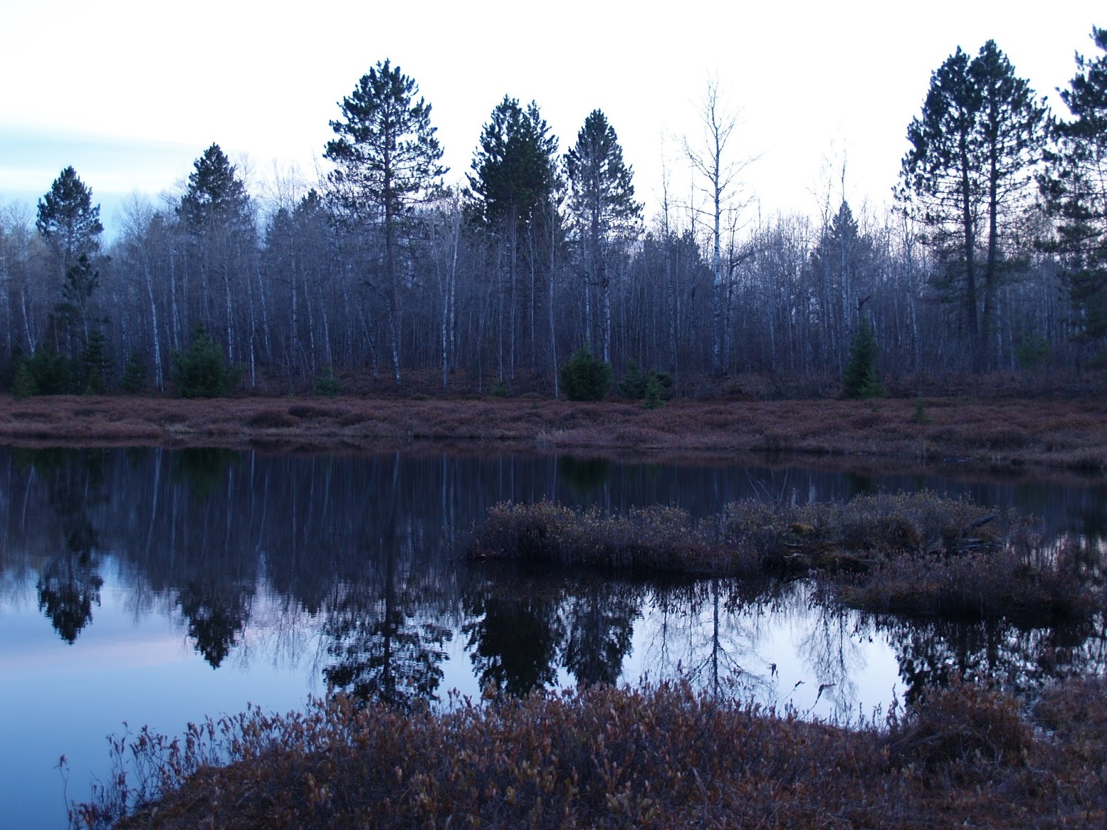 Showcasing the Michigan DNR: Wetlands a vital resource for Michigan’s ...