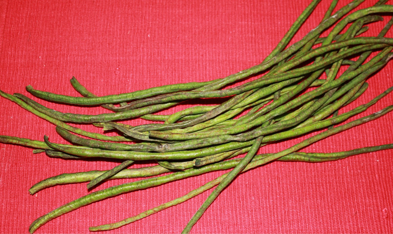 Long Green Beans Dry Curry / Alasande Palya