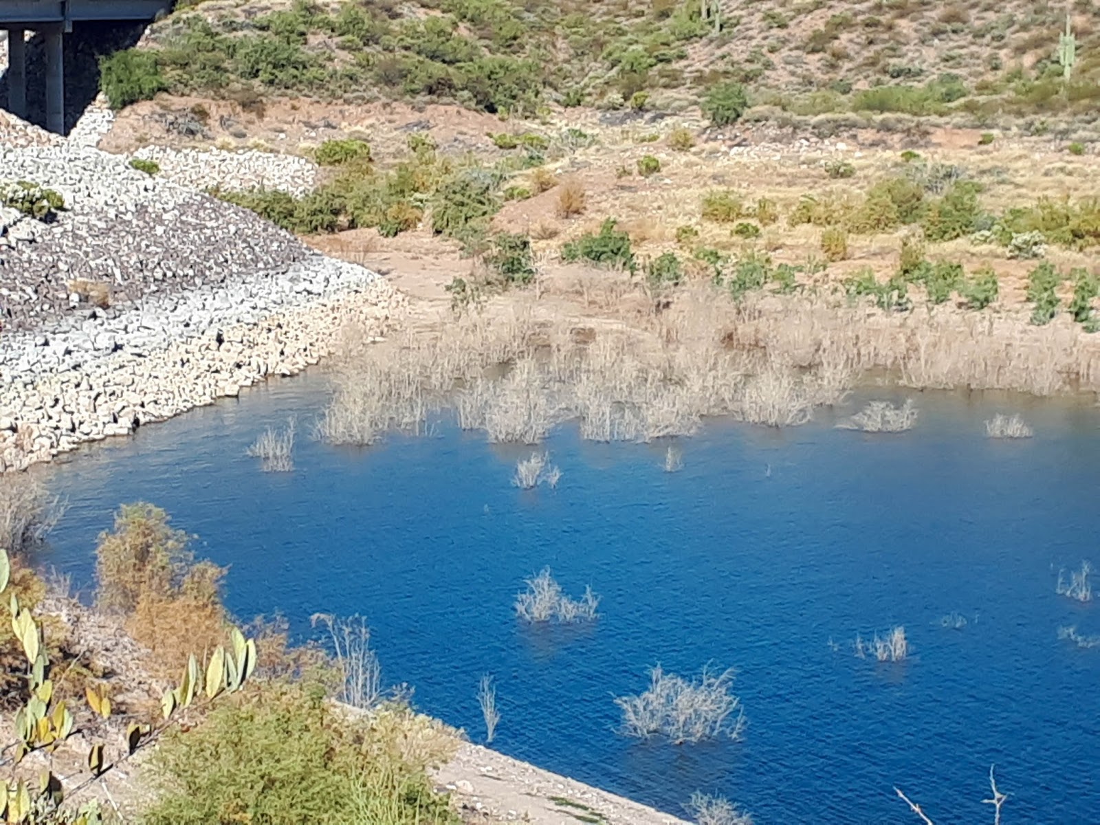 Kastle's Journey: Travel to Porter Spring Recreation Site, Lake ...