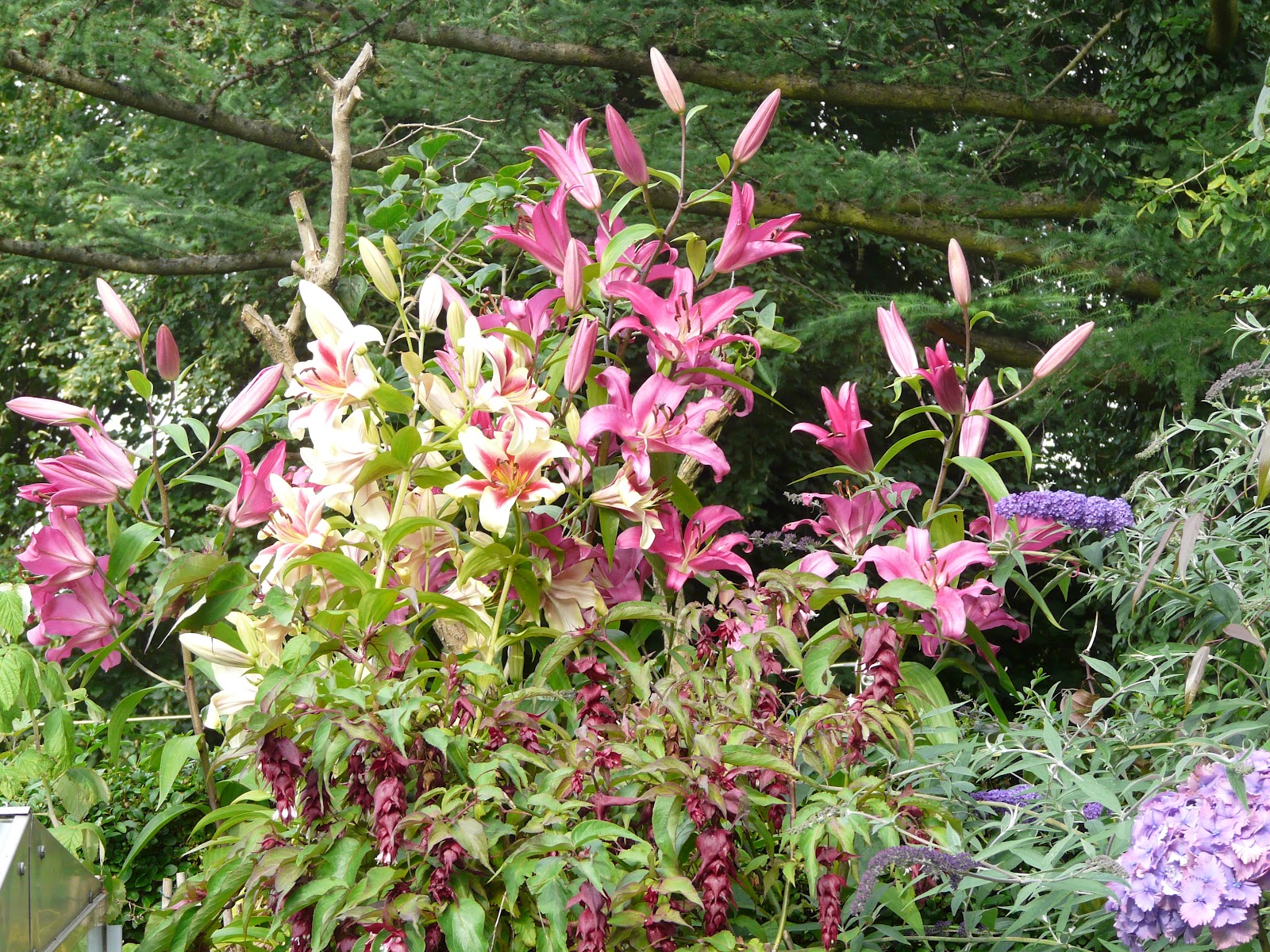 Yorkshire Buddings: August 2012