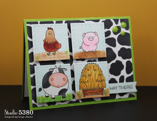 Studio 5380: Hay There!