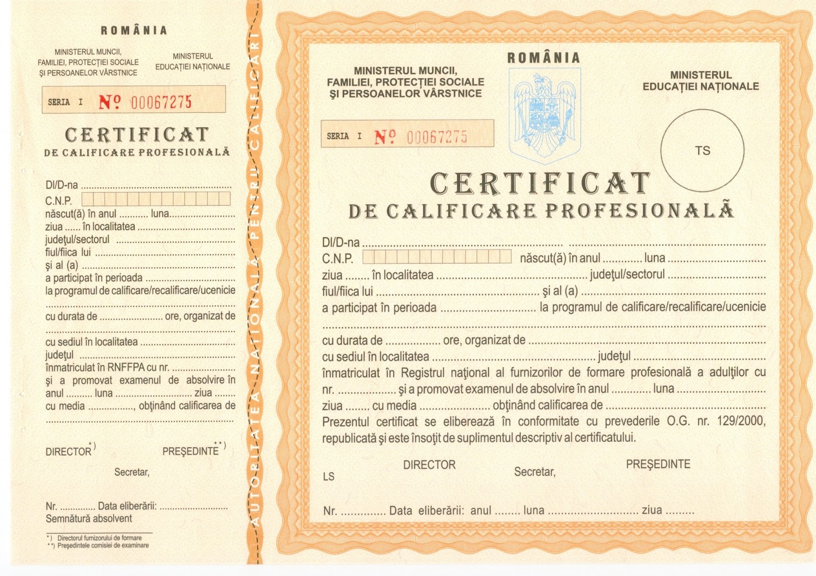 Profesional PN: Diploma