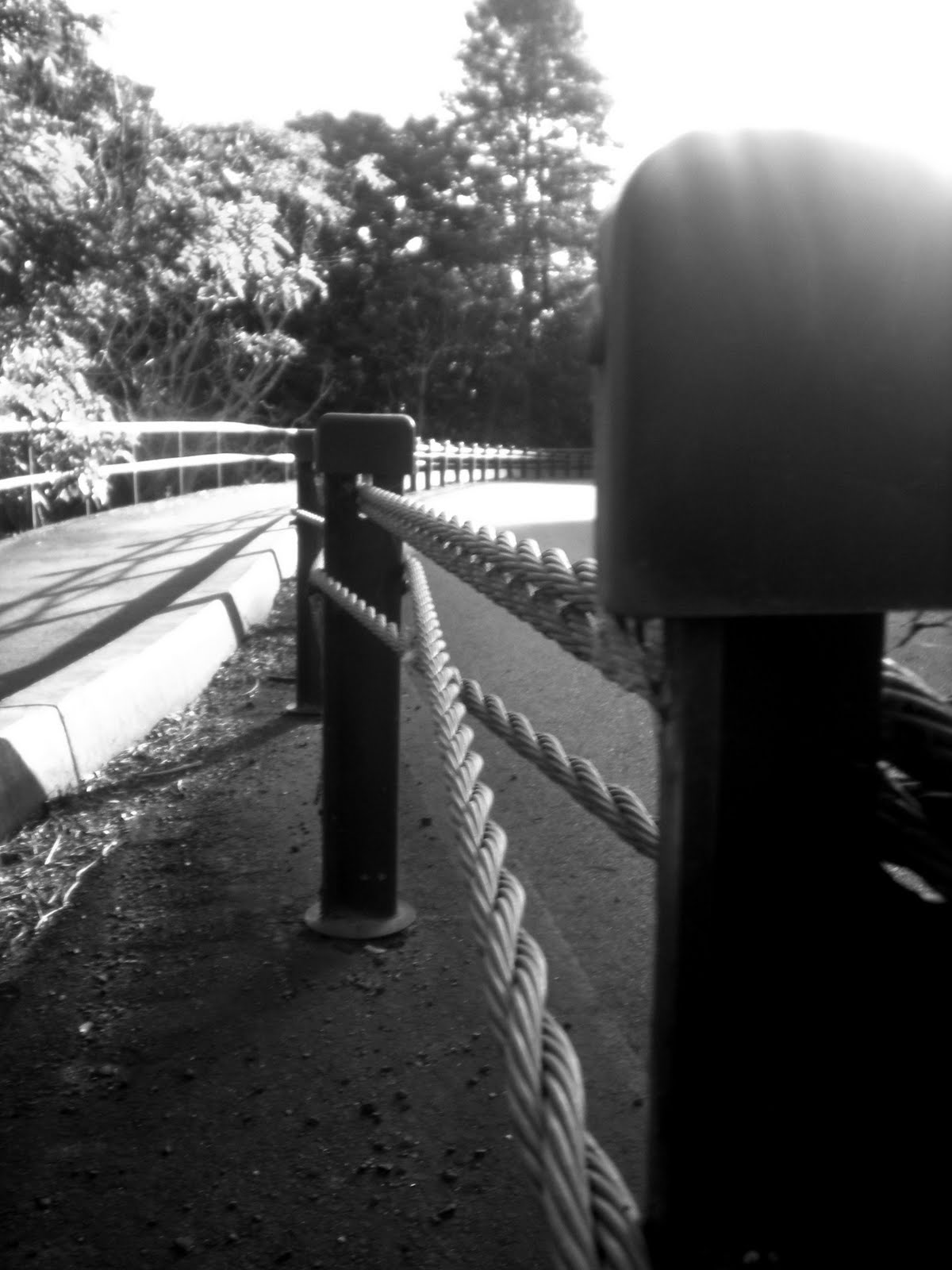 Photography: Photo Project: Linear Lines