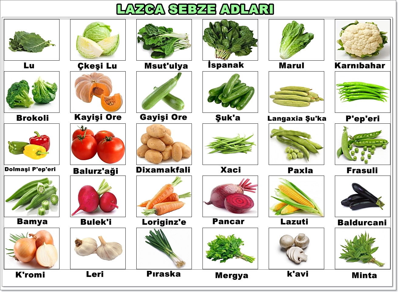 ARHAVİ ARKABİ HACİŞİ: Lazca