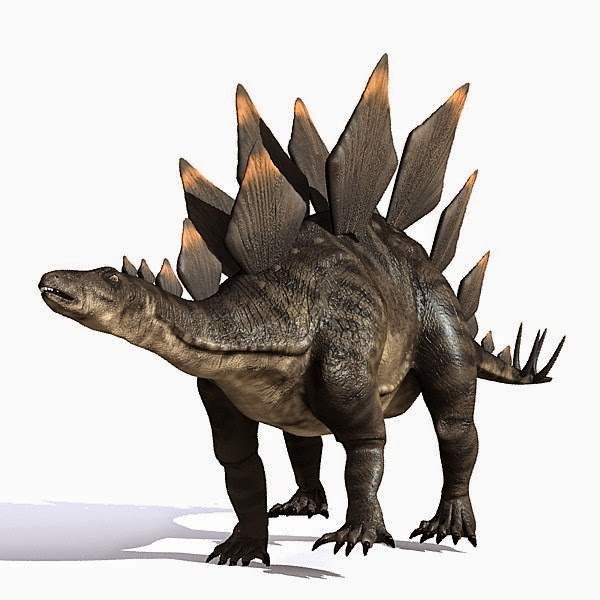 Lo Stegosauro, erbivoro sì, ma non poi così innocuo