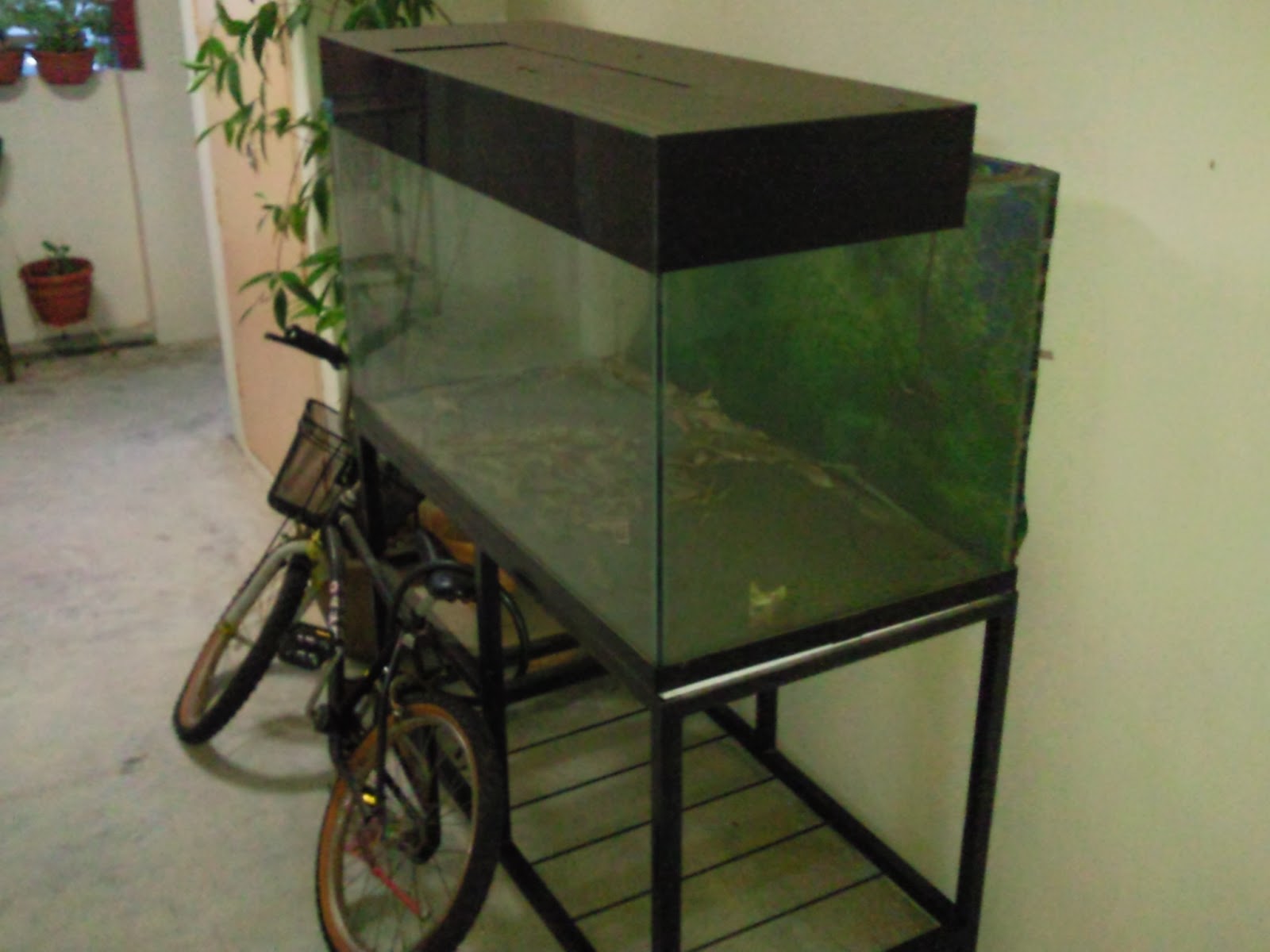 Singapore Big Sale: Many 2 to 4 feet Fish Tanks For Sale