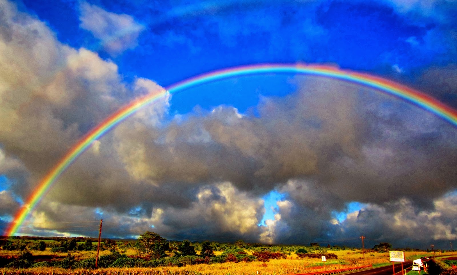 $@Gg! CoMmEnTs: Nature