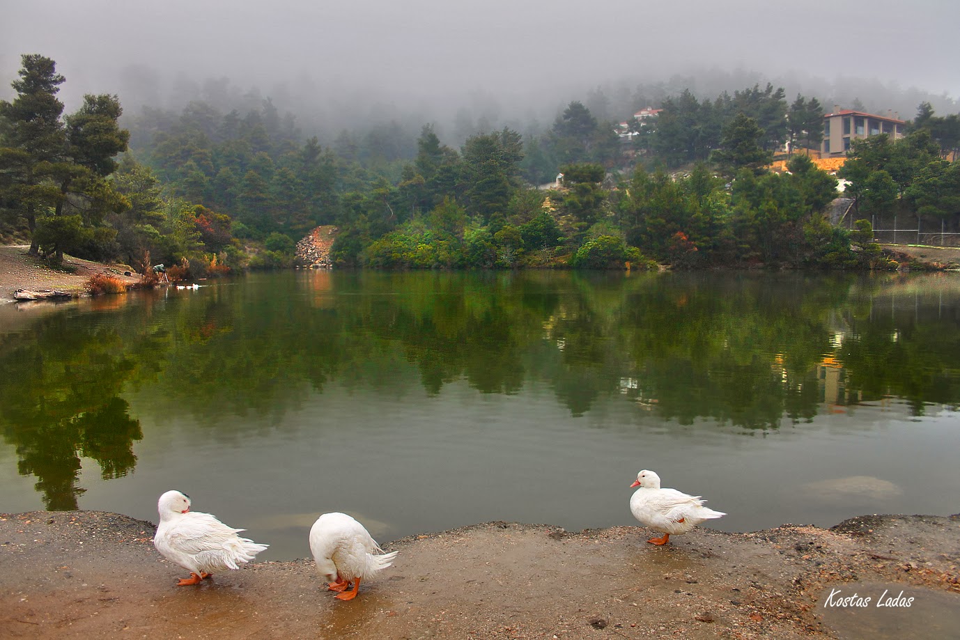 Kostas Ladas photography