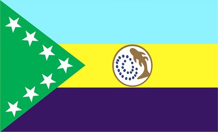 banderas locales (municipales y parroquiales) venezolanas: banderas ...
