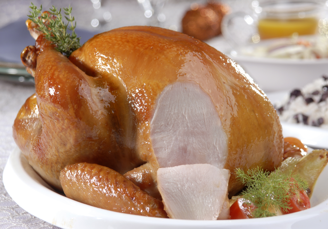 CANAL ANIMAL TV: VOCÊ JÁ VIU UM CHESTER VIVO???