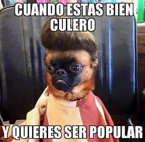 Los mejores memes de risa (parte 1) - Memes los mejores