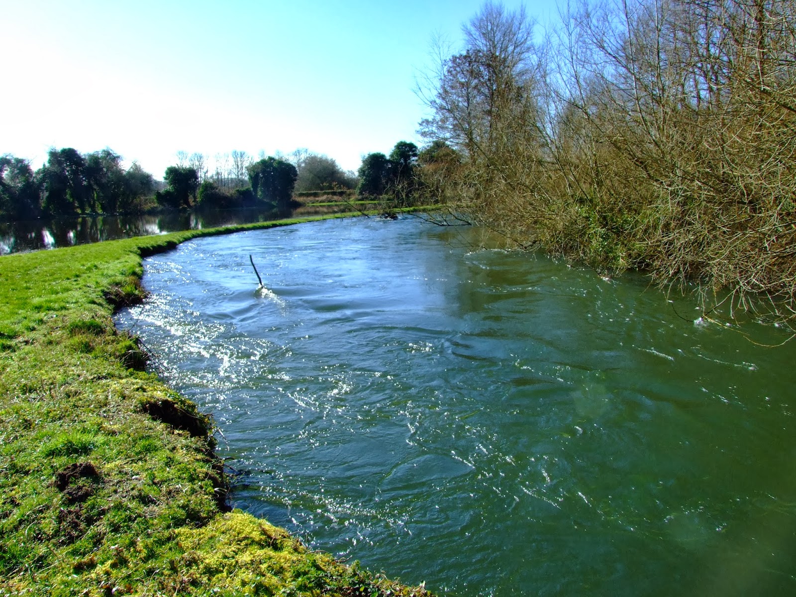 Canoeing and Kayaking on The River Kennet