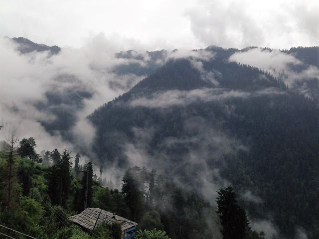 Whispering Trail: Exploring the unexplored Banjar Valley of Himachal ...