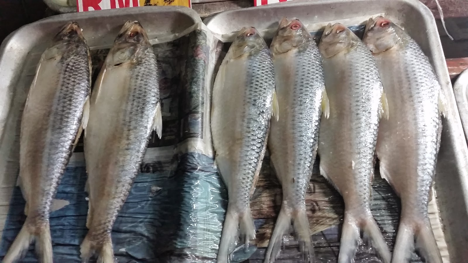 AZLAN RUMADI: AJUN IKAN TERUBOK MASIN GERSIK,KUCHING,SARAWAK