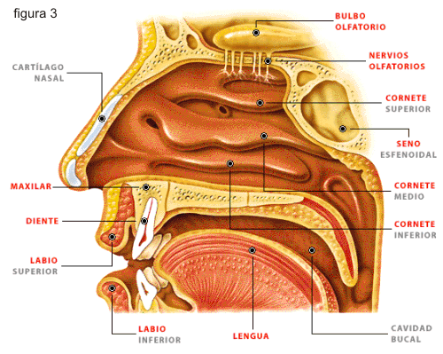 LLENO LA VIDA, CON UN SUSPIRO