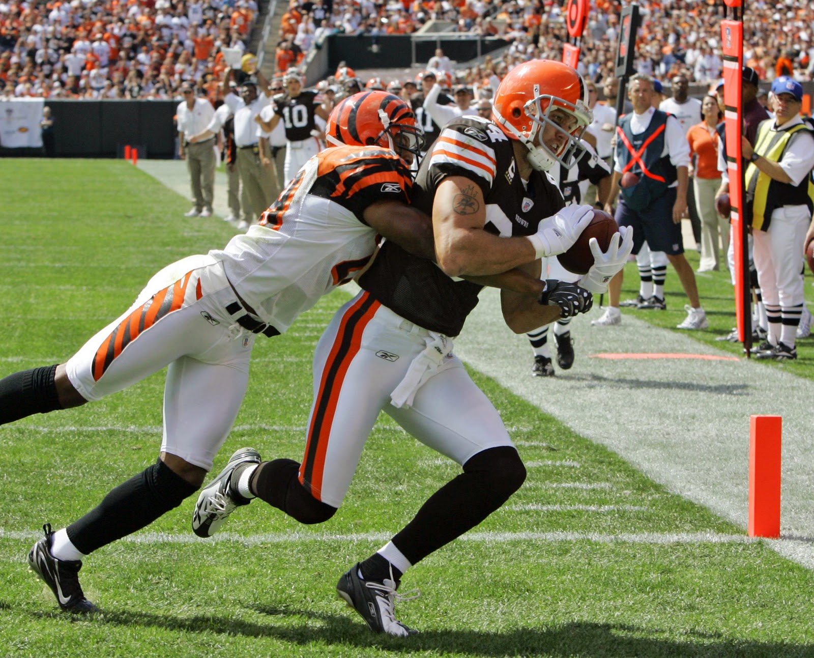 History of All Logos: All Cincinati Bengals Logos