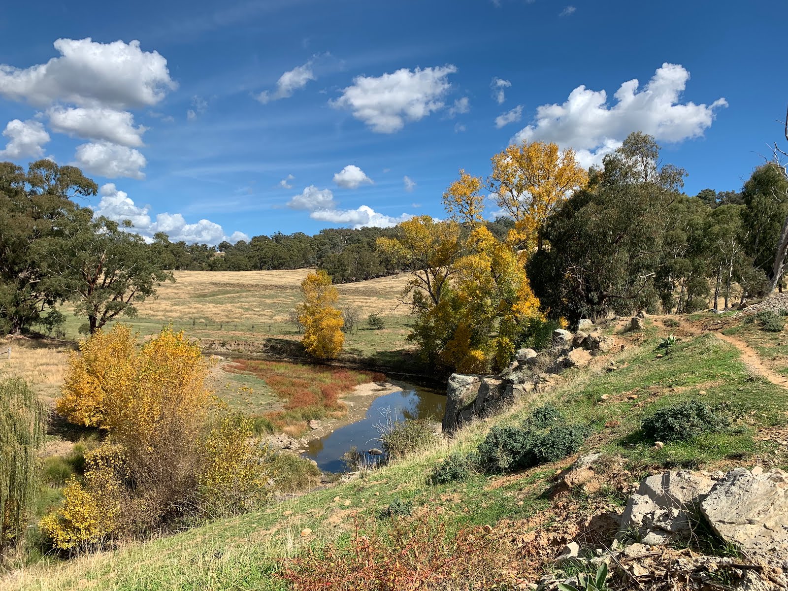 jannimary: "Mountain View" Homestead