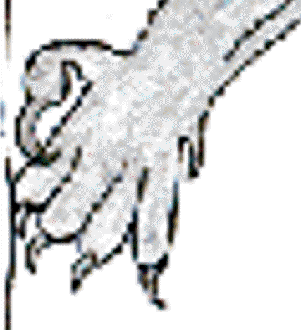 Past Remembering: The Babylonian Sirrush - Here be dragons...