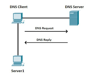 DHCP & DNS - NETWORKSTIP Networking CCNA,Centos,Ubuntu,Sql,