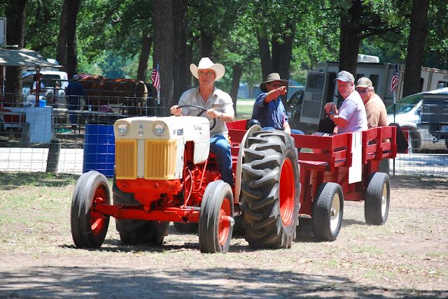 Terrell Daily Photo: Antique Tractors