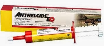 POR LA SALUD DE TU EQUINO