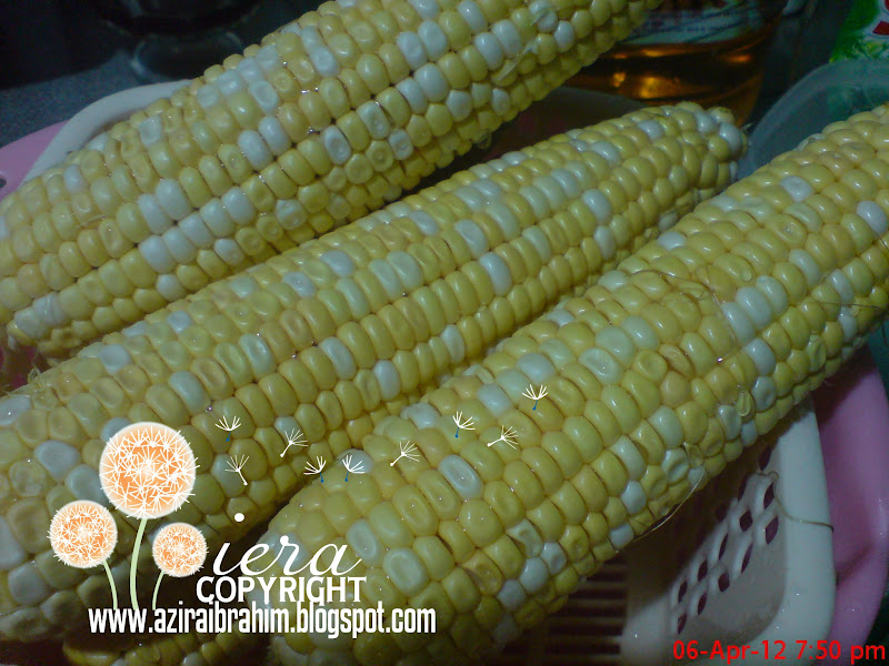 :: BiNgKiSaN KeHiDuPaNKU ::: Jagung Mutiara Cameron