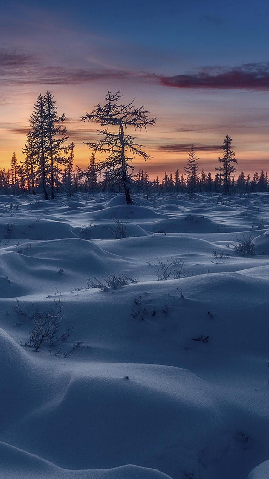 Fondo android pack 82