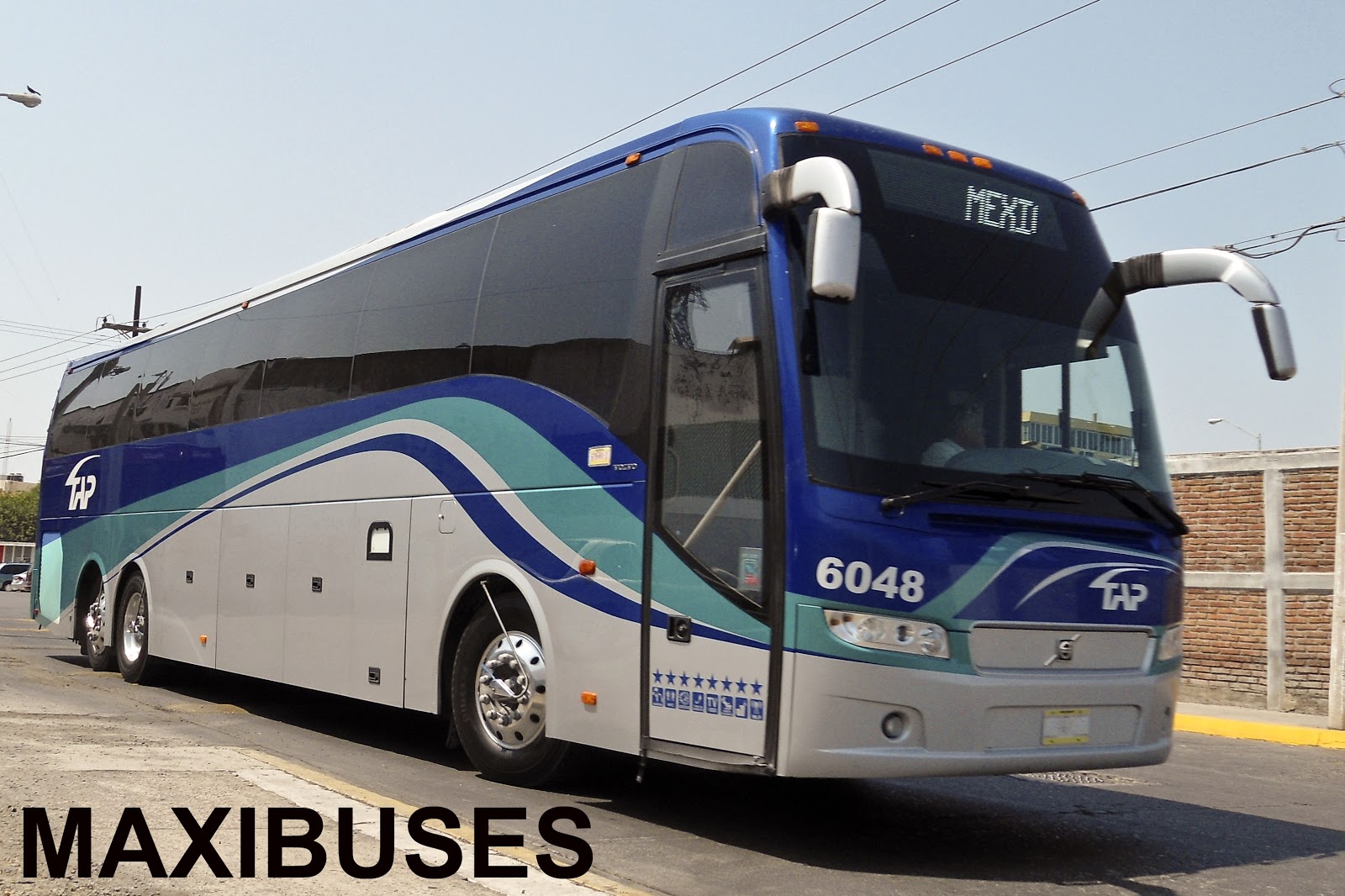 MAXIBUSES: TRANSPORTES Y AUTOBUSES DEL PACÍFICO (TAP)