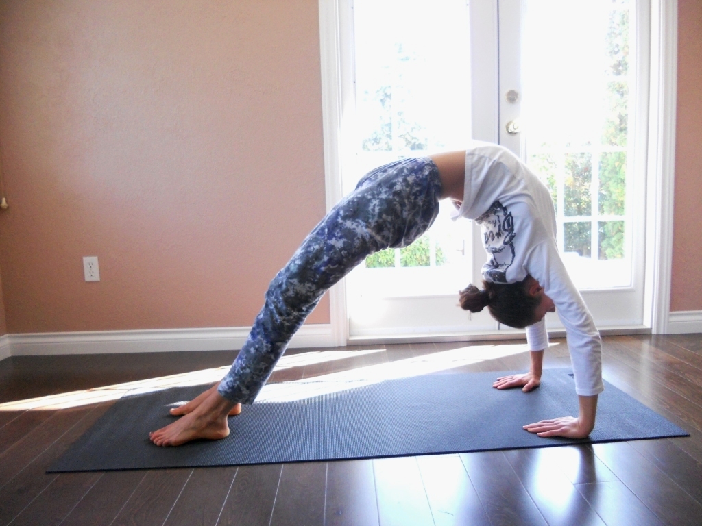 Snacking Squirrel: Urdhva Dhanurasana Yoga Pose