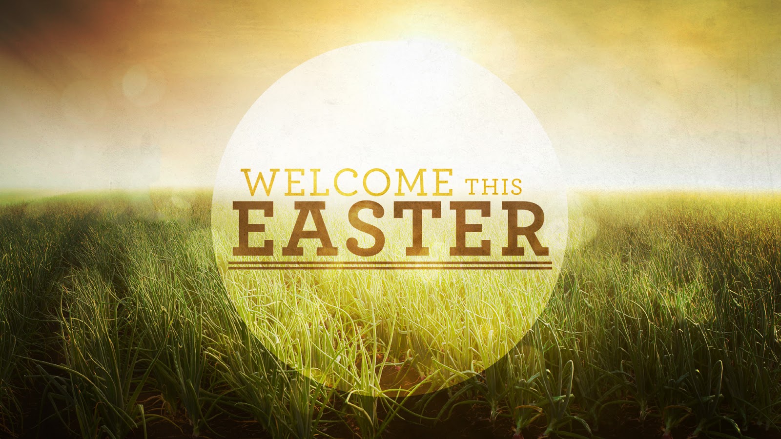 Welcome to DavidCharlton.blogspot.com: March 31, 2013 - Easter Sunday ...