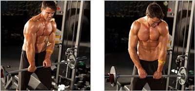 5 Best Phil Heath Forearm Workout - Body Building Craze